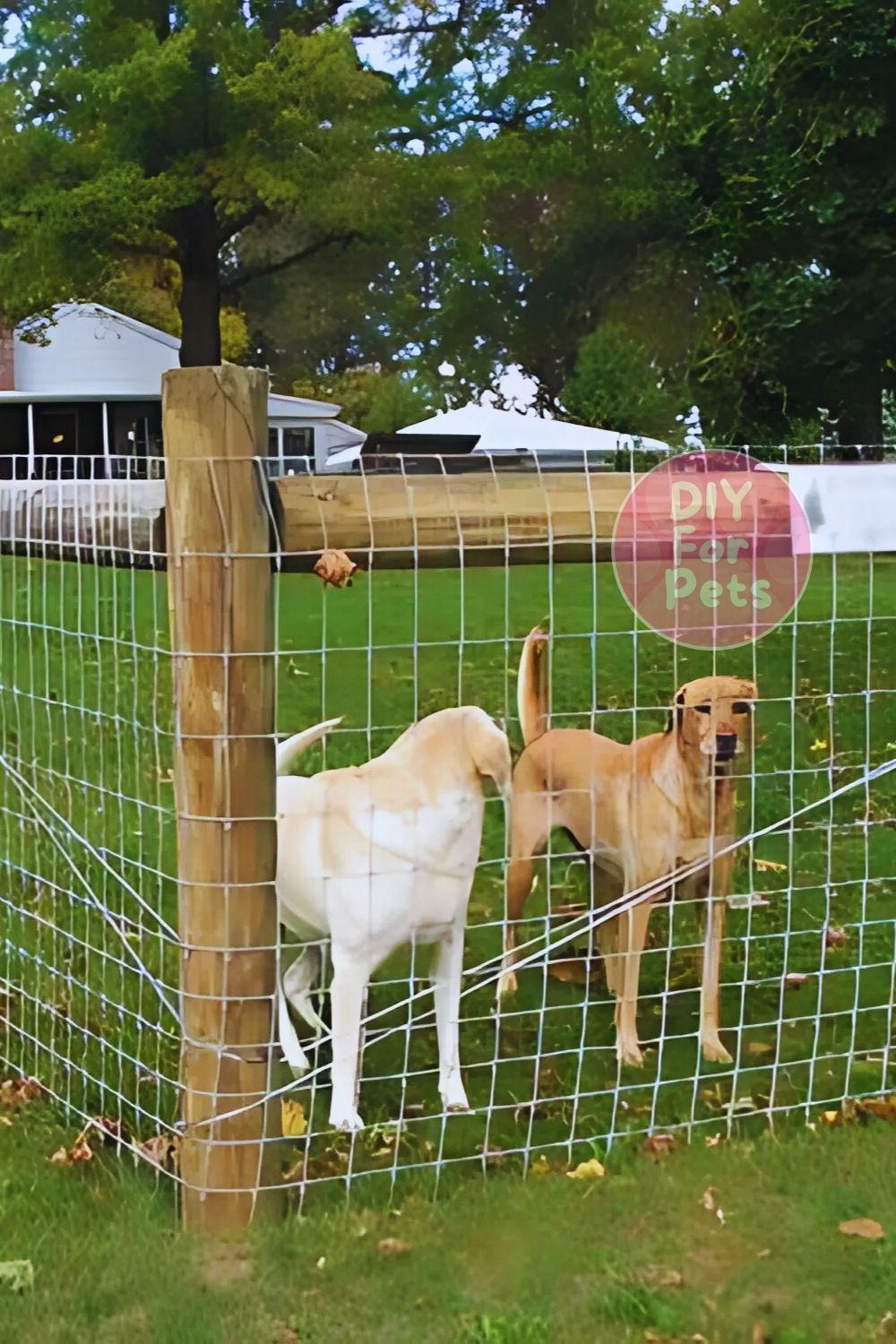5 DIY Dog Fence (Designs for Small & Large Dogs) - DIY For Pets