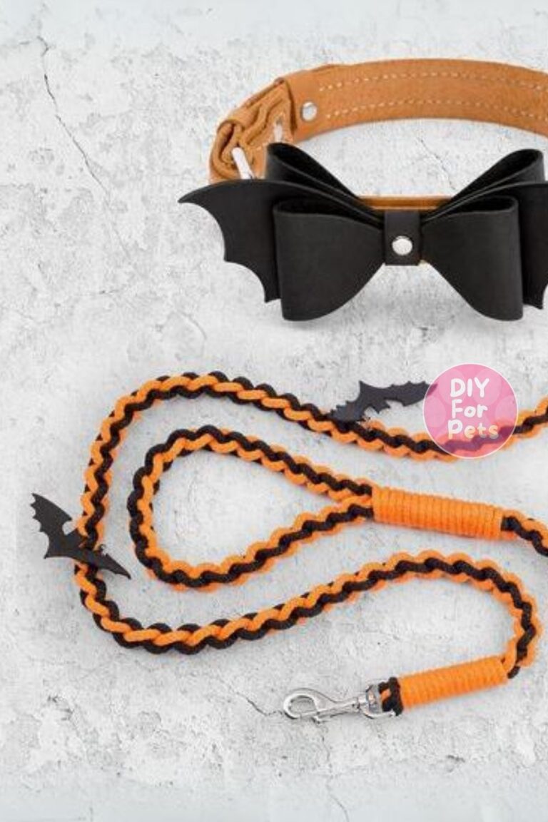 9 DIY Dog Leash Ideas To Make Quickly In 10 Minutes - DIY For Pets