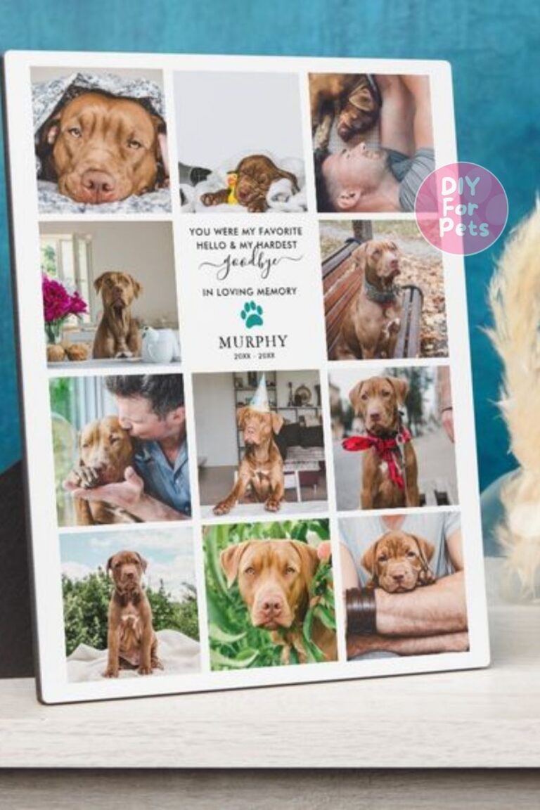 8 DIY Dog Memorial Ideas To Cherish Memories For Lifetime - DIY For Pets