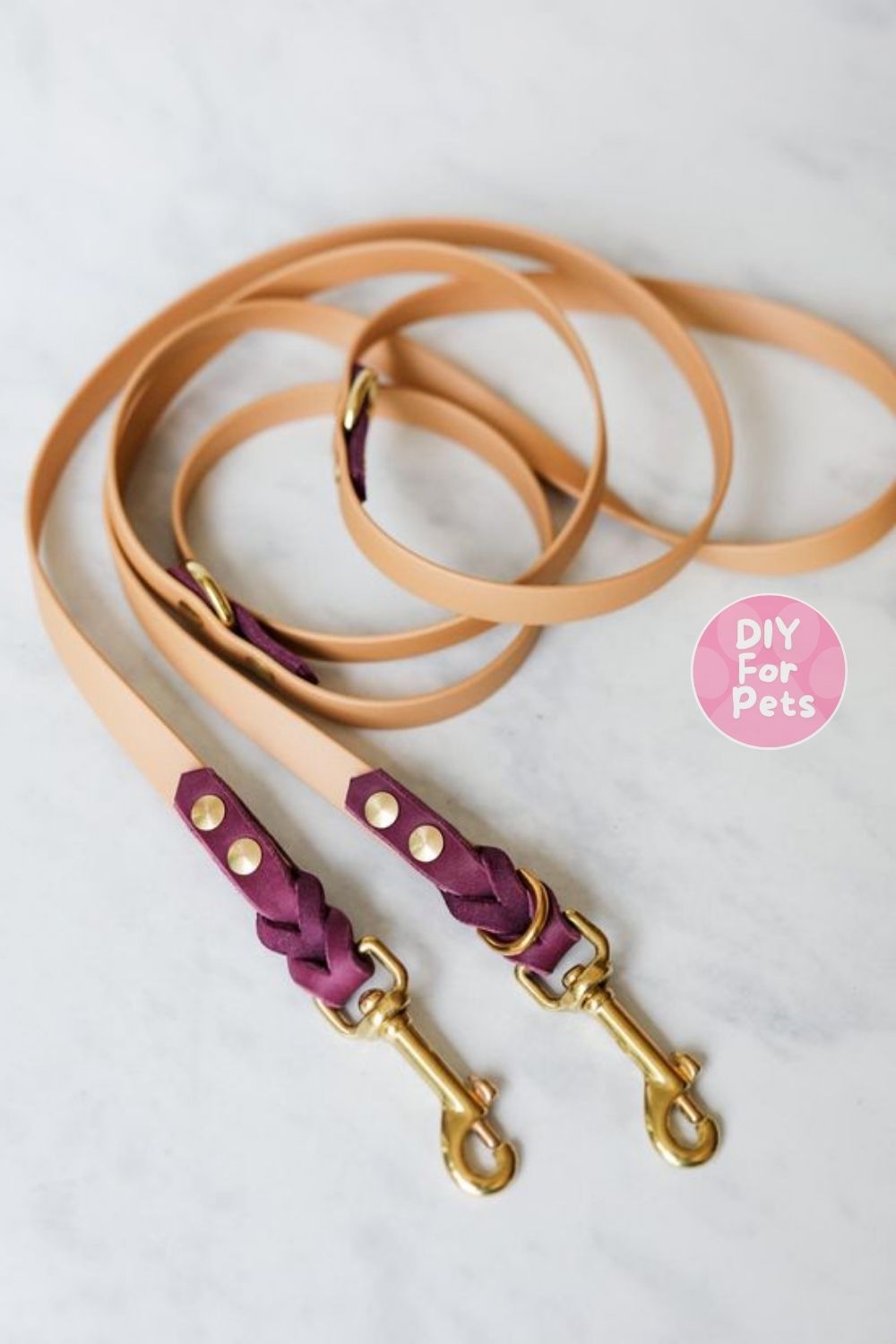 9 DIY Dog Leash Ideas To Make Quickly In 10 Minutes - DIY For Pets
