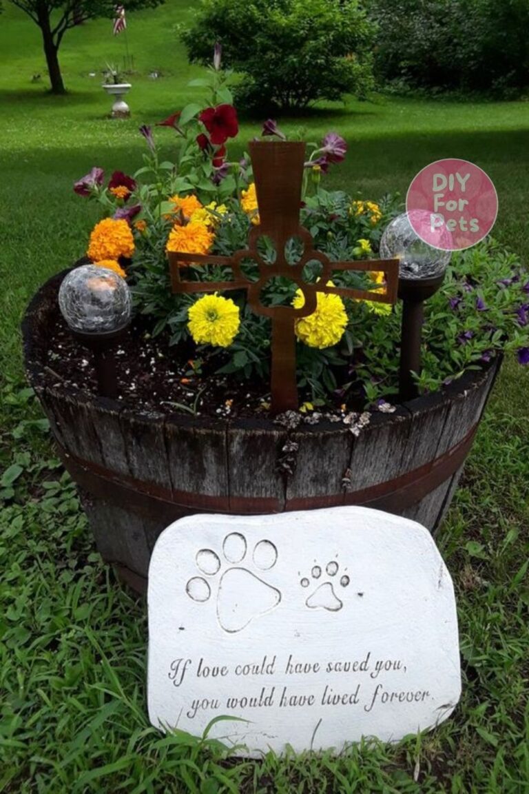 8 DIY Dog Memorial Ideas To Cherish Memories For Lifetime - DIY For Pets