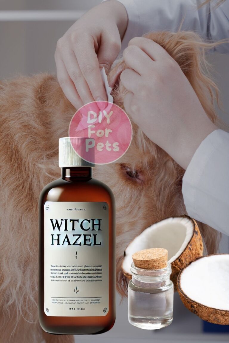 4 DIY Dog Ear Cleaners (Healthy Alternatives to Store Bought) - DIY For ...