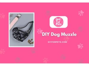 7 DIY Dog Muzzle Plans To Make Today (Easily) - DIY For Pets