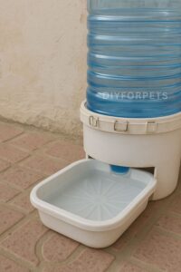 5 DIY Dog Water Dispenser (Quench Thirst Easily) - DIY For Pets