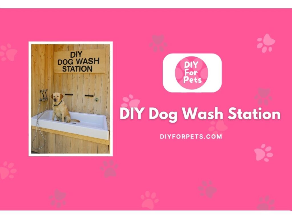 This DIY Dog Wash Station Will Save Your Back (and Your Bathroom ...