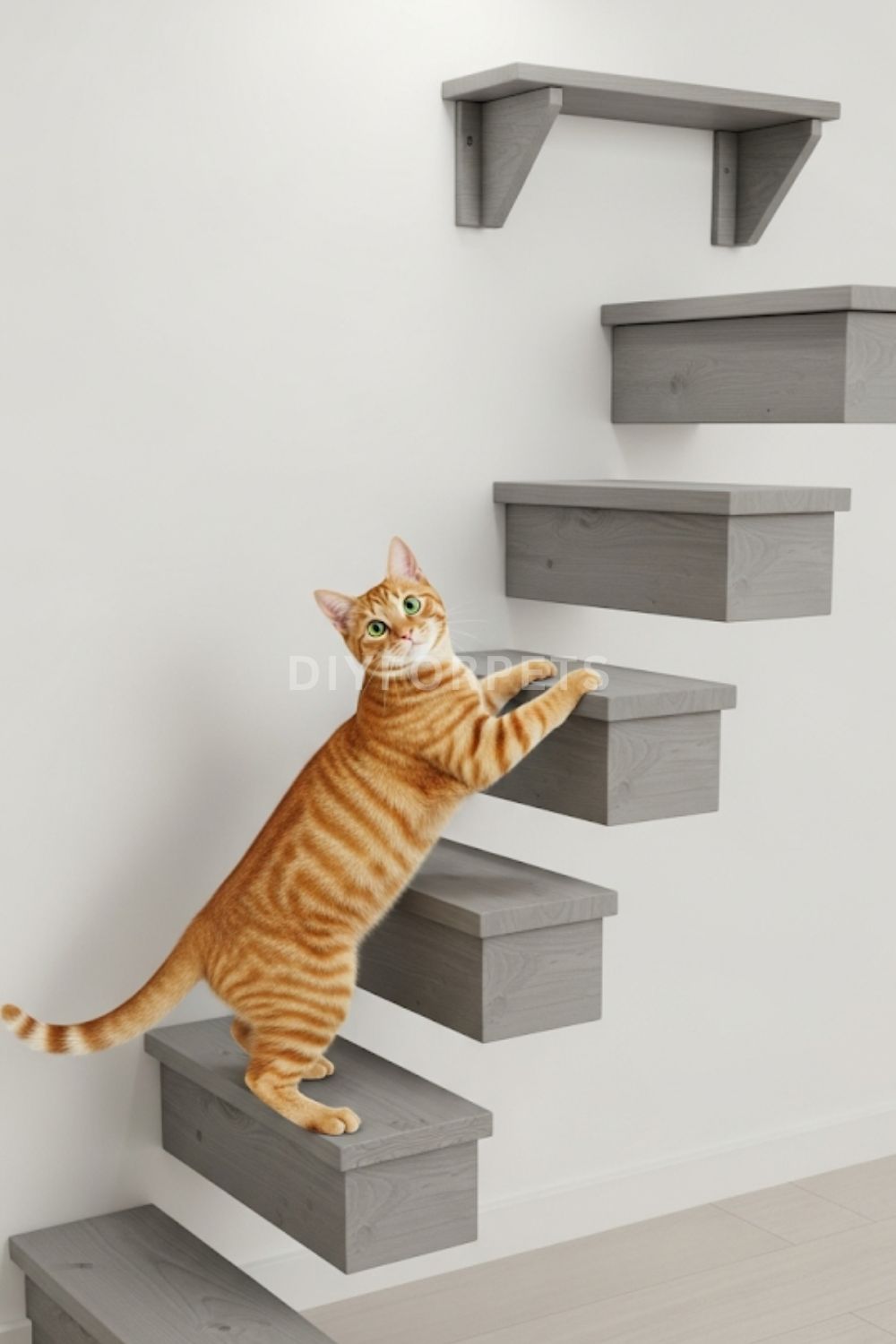 17 DIY Cat Climbing Wall Designs to Elevate Your Home Life - DIY For Pets