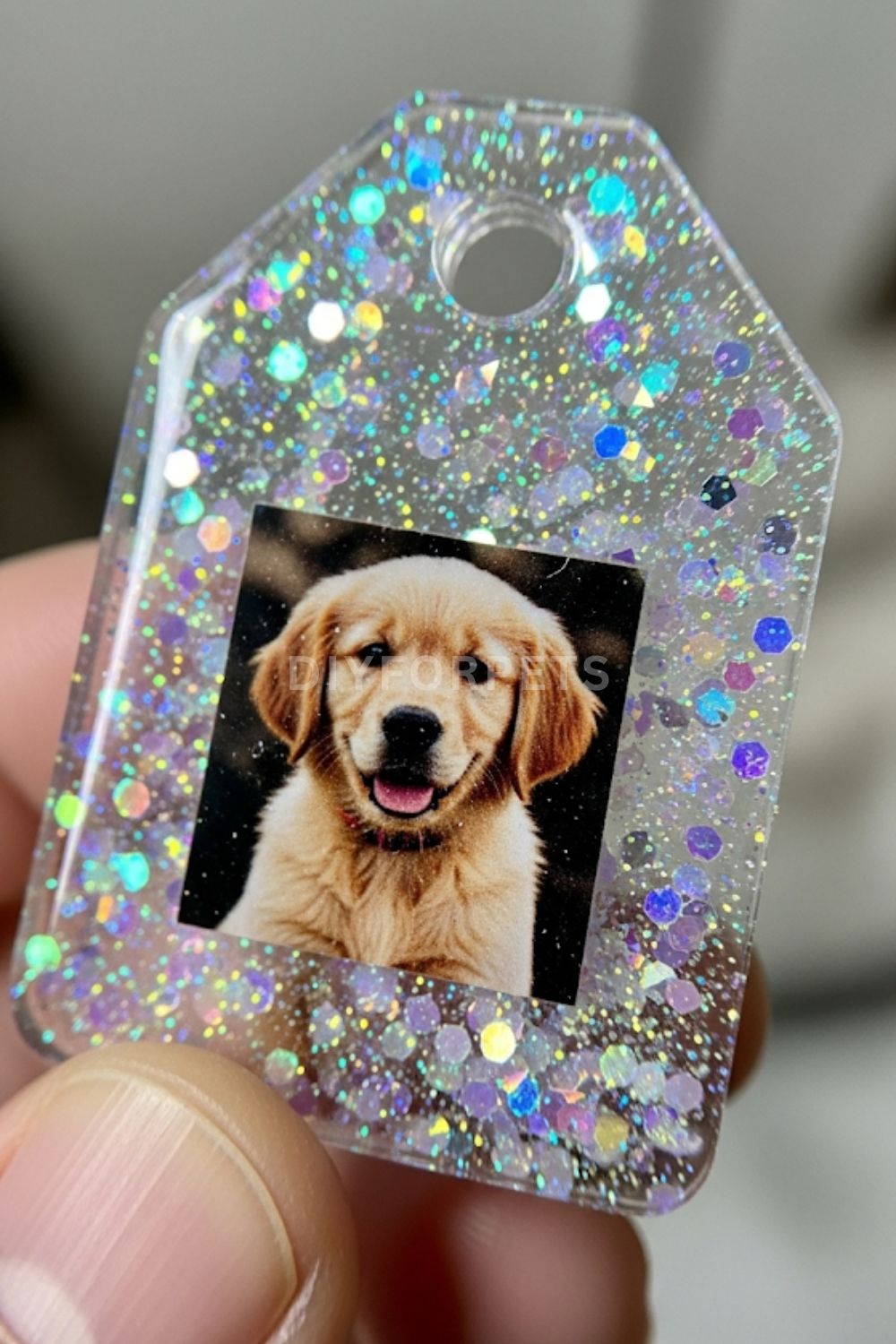 13 Easy & Unique DIY Dog Tags You Can Craft in One Afternoon - DIY For Pets