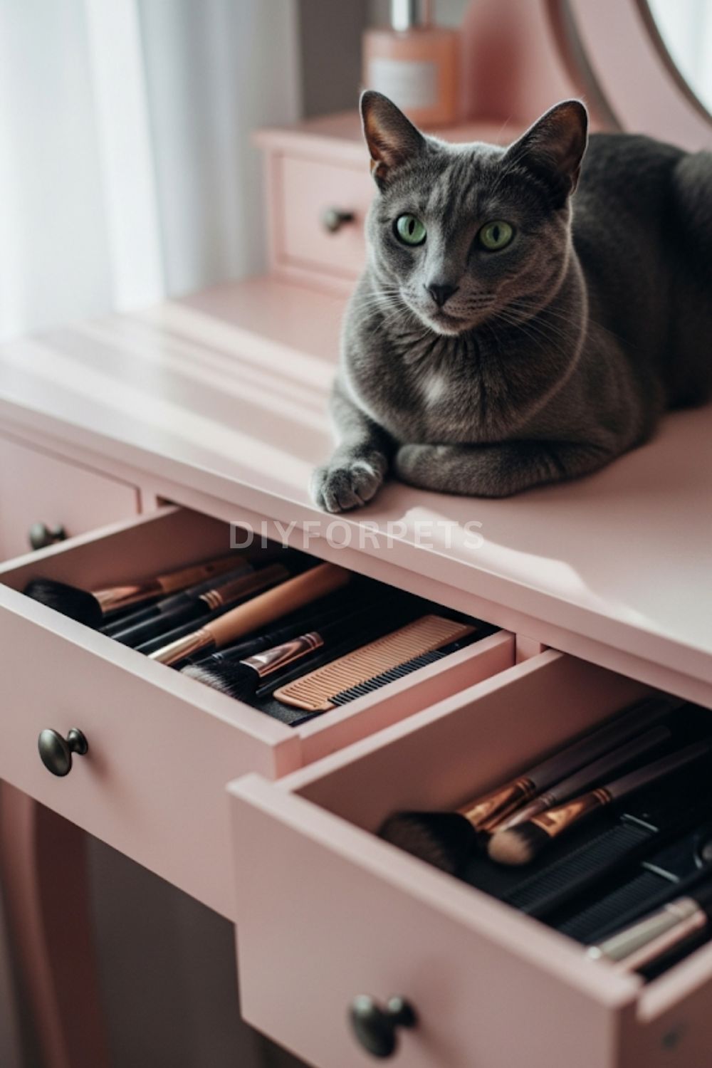Create the Ultimate DIY Cat Grooming Station (With What You Have at ...