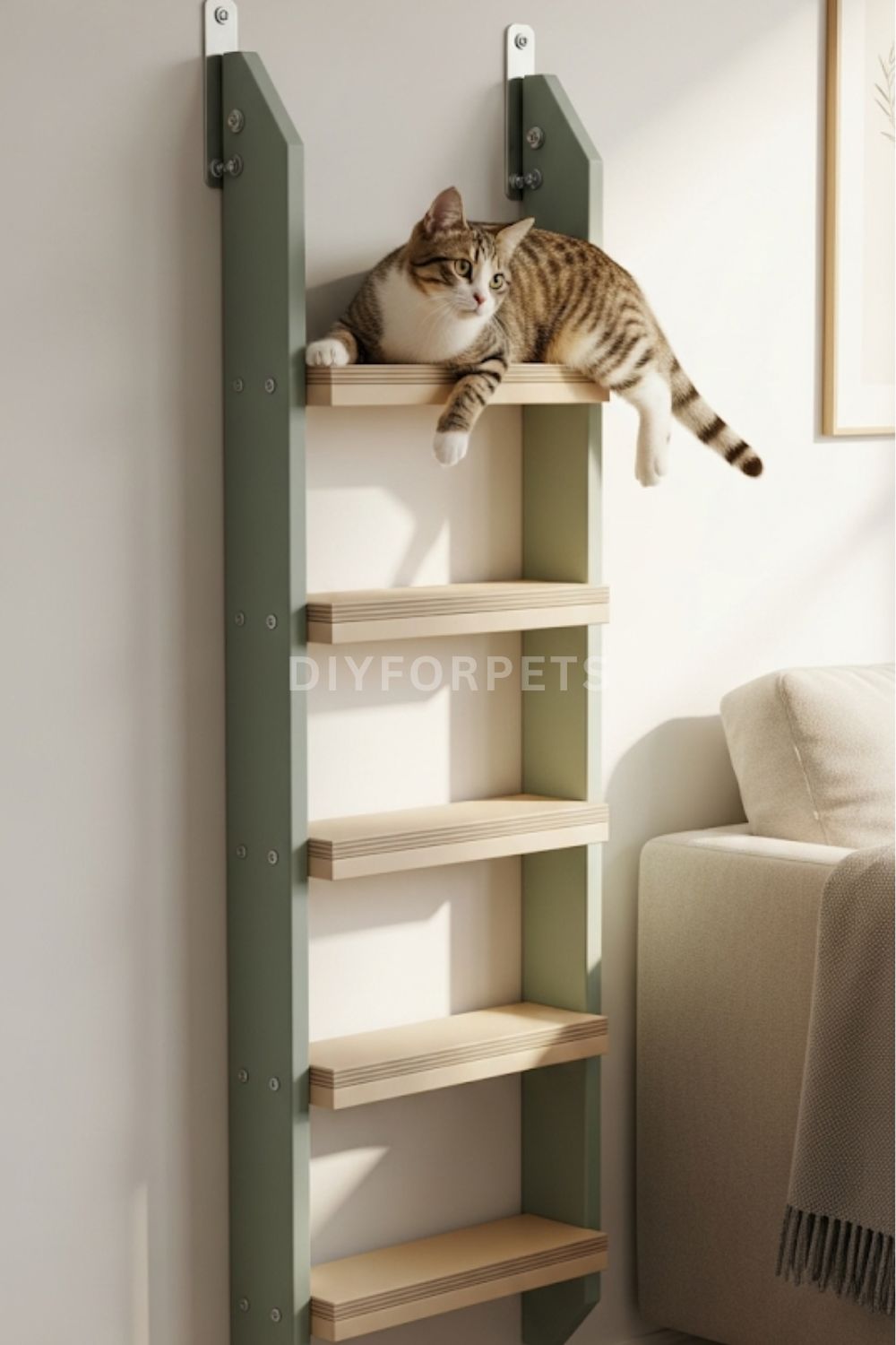 15 Stunning & Easy DIY Cat Shelves for Happy Climbers - DIY For Pets