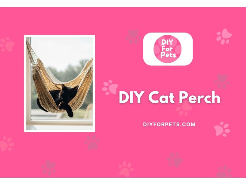 9 DIY Cat Window Perches Your Feline Will Obsess Over - DIY For Pets